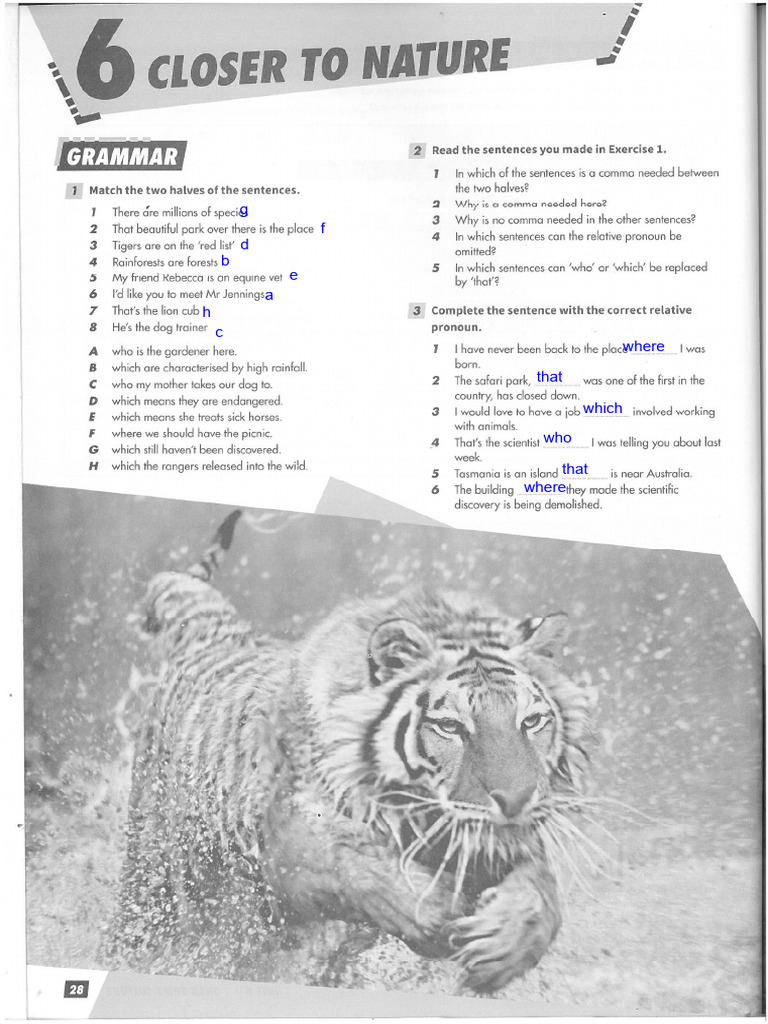 Unit 6 WB | PDF