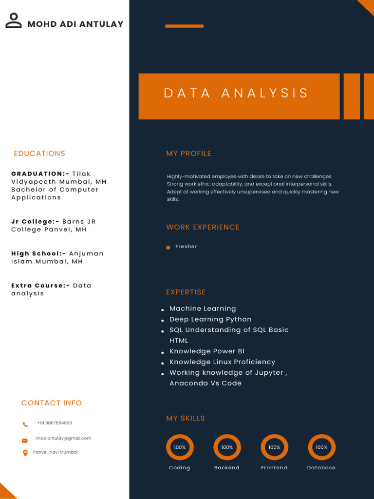 A Dian Tu Lay Resume | PDF