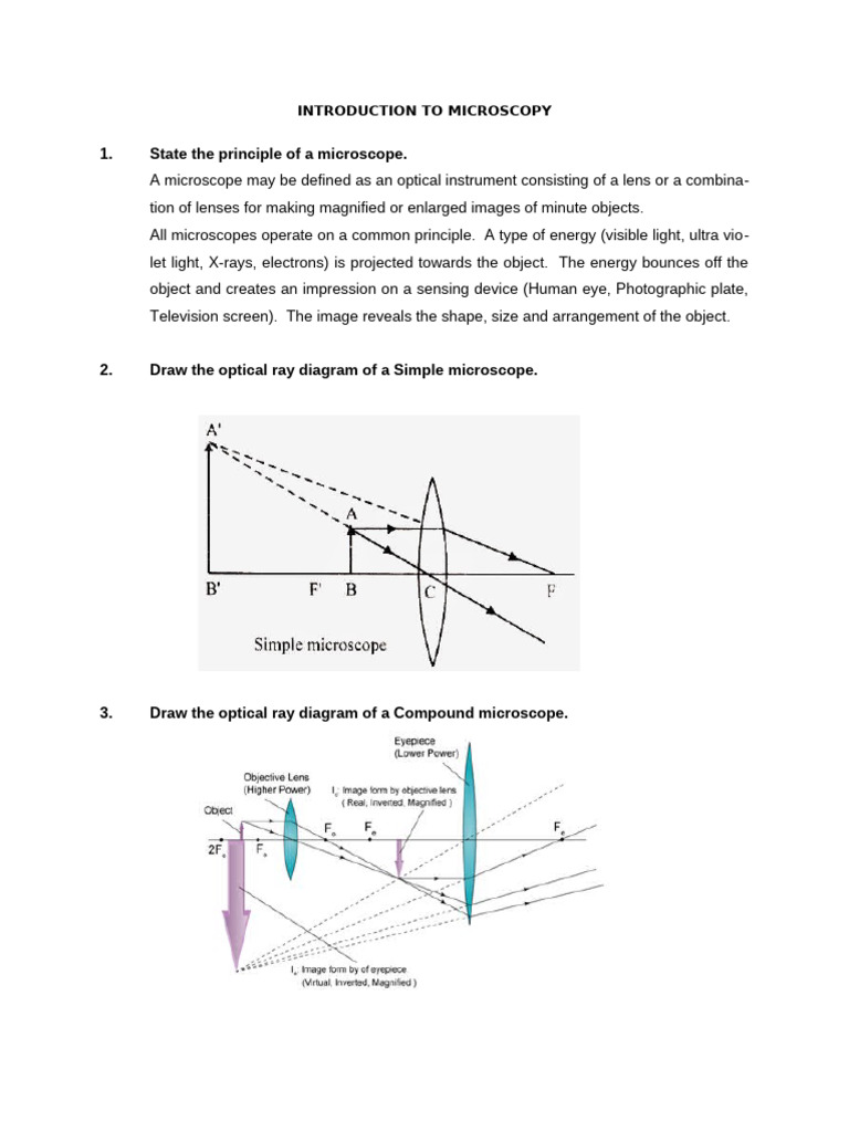 Microscopy Basics: Types and Functions | PDF | Microscope | Microscopy