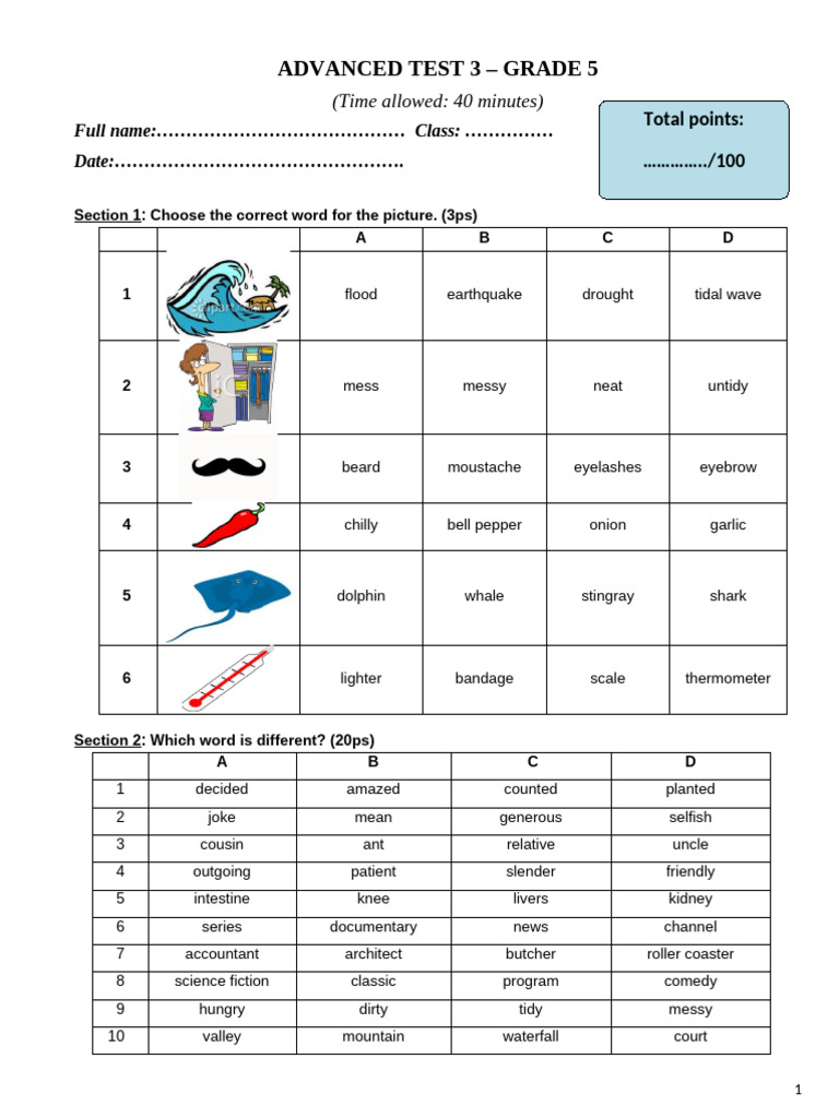 Grade 5 Advanced Test 3 Questions | PDF