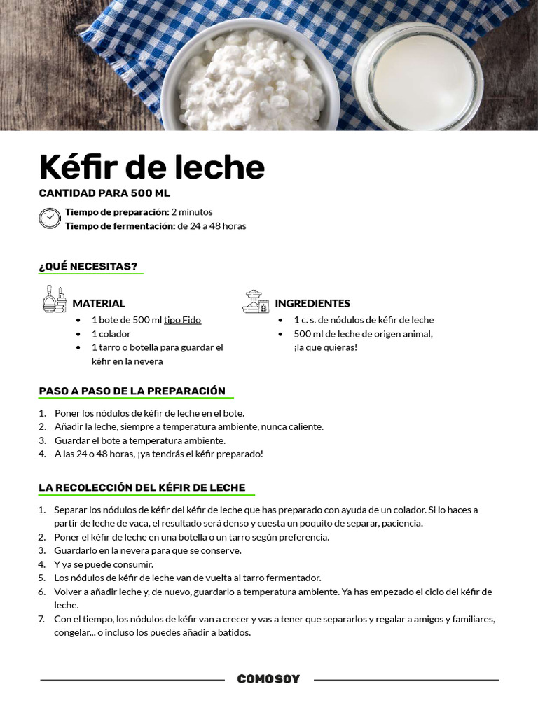 c-mo-hacer-k-fir-de-leche-en-casa-pdf