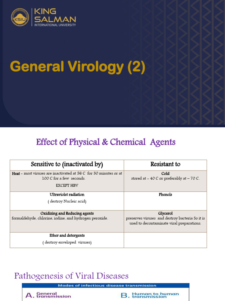Virology: Effects, Pathogenesis & Treatments | PDF | Virus | Antiviral Drug