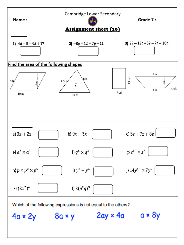 Grade 7 Math Assignment Sheet | PDF