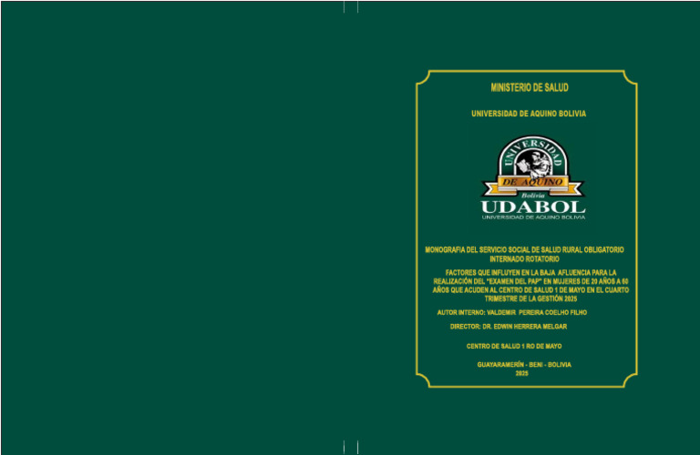 Udabol 1 Pereira | PDF