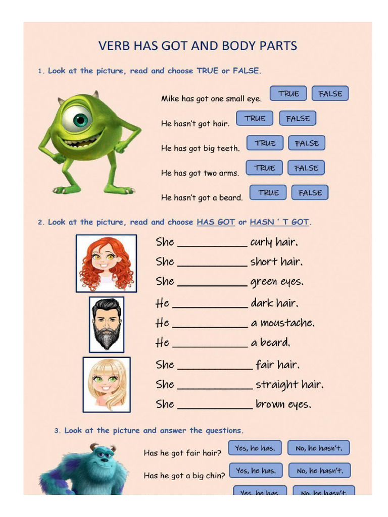 Have Got Has Got | PDF