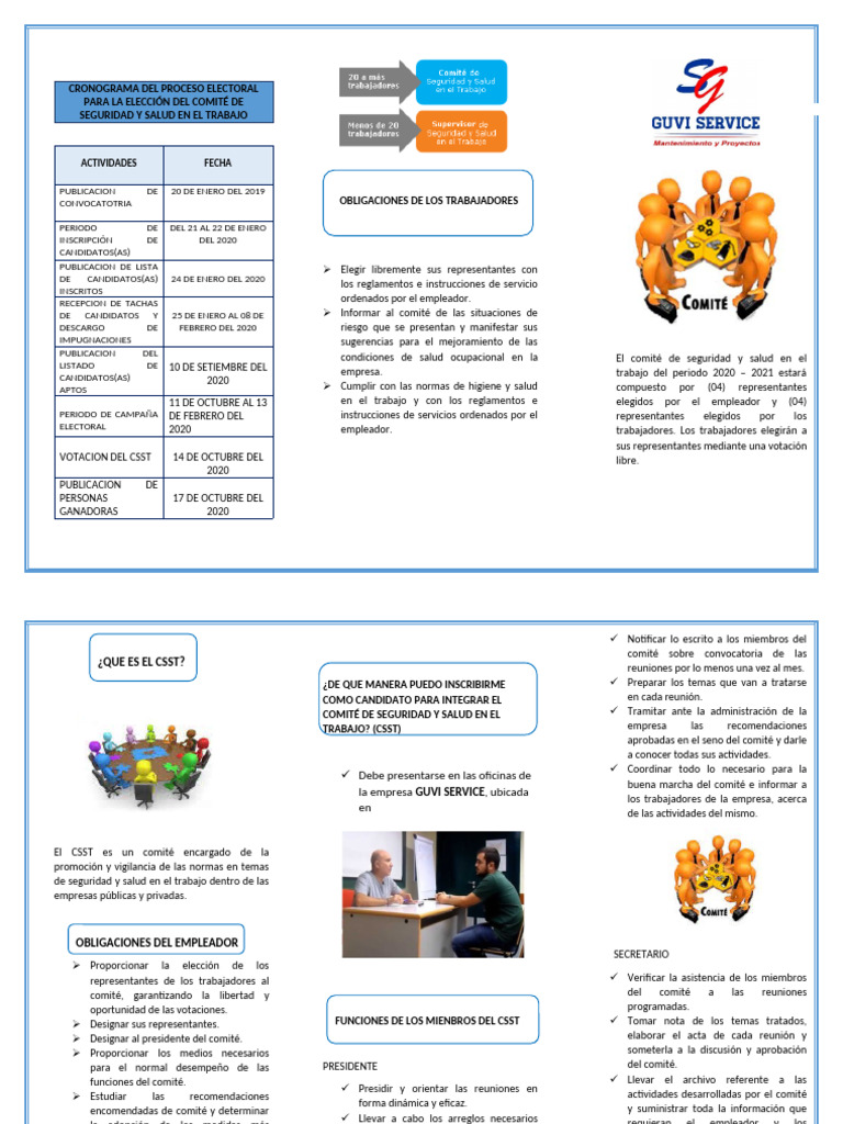 Cronograma Elecciones CSST 2020 | PDF | Gobierno | Eventos políticos