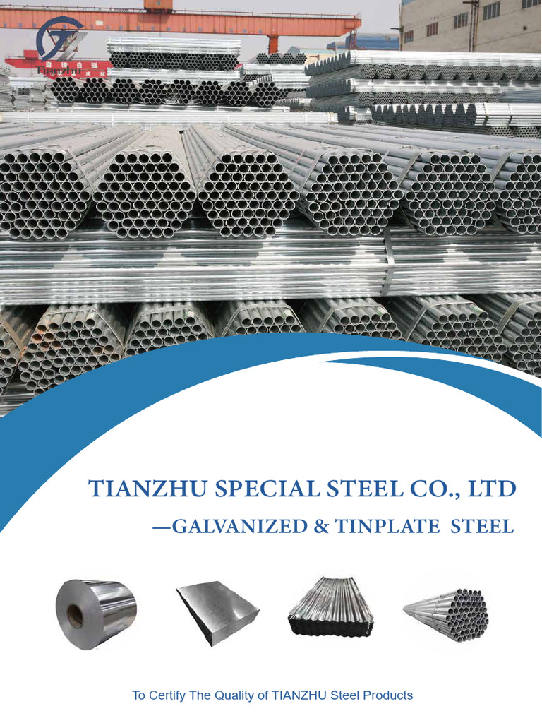 Galvanized & Tinplate Products Catalog | PDF
