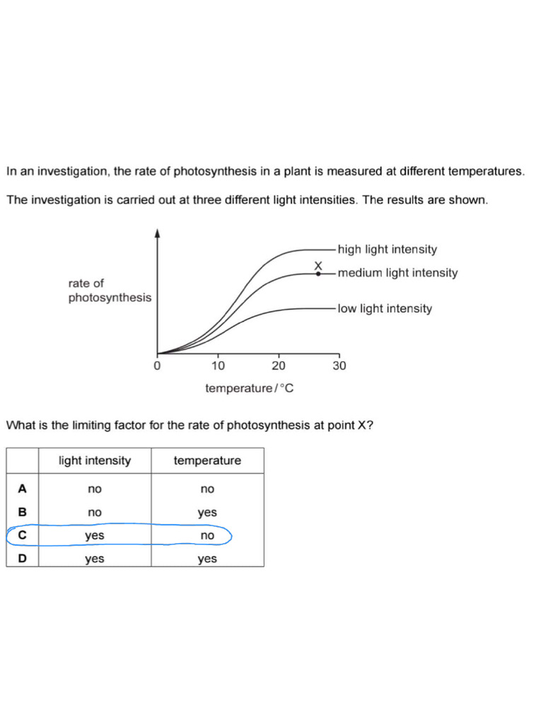 PN+TP Assessment Test | PDF