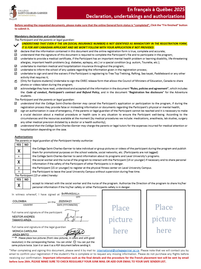 Declaration, undertakings and authorizations 2025-2 | PDF | Legal Guardian