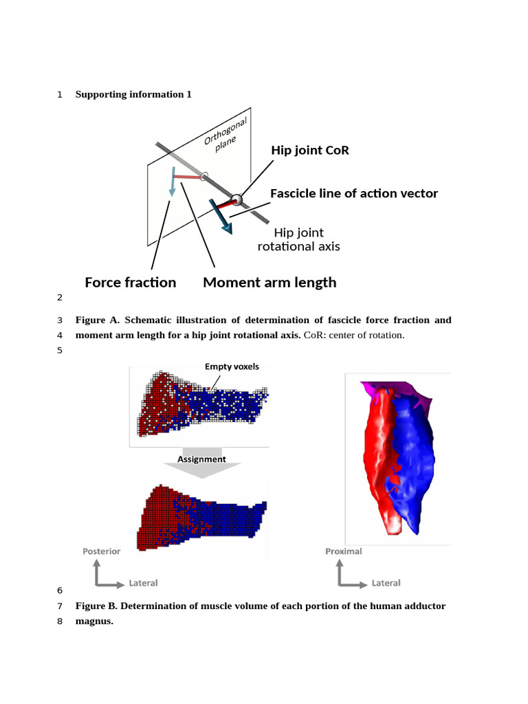 Supporting Information 1 | PDF