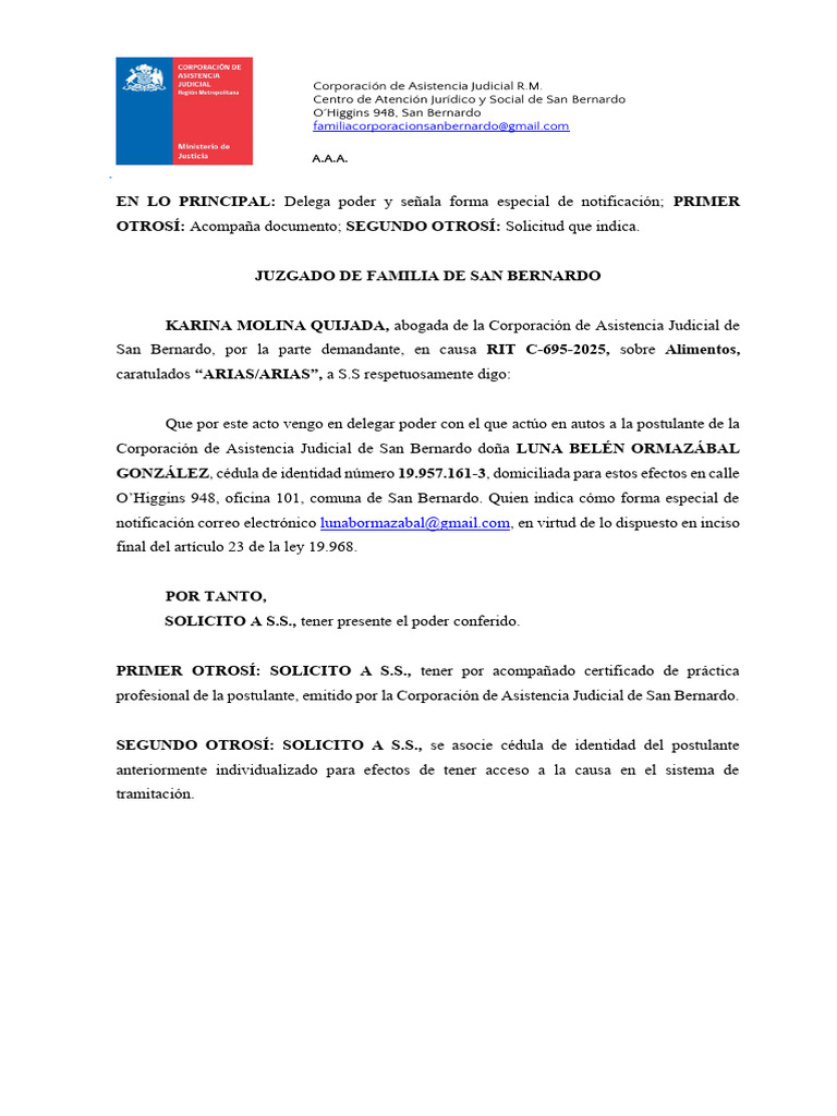 Modelo Delega Poder | PDF