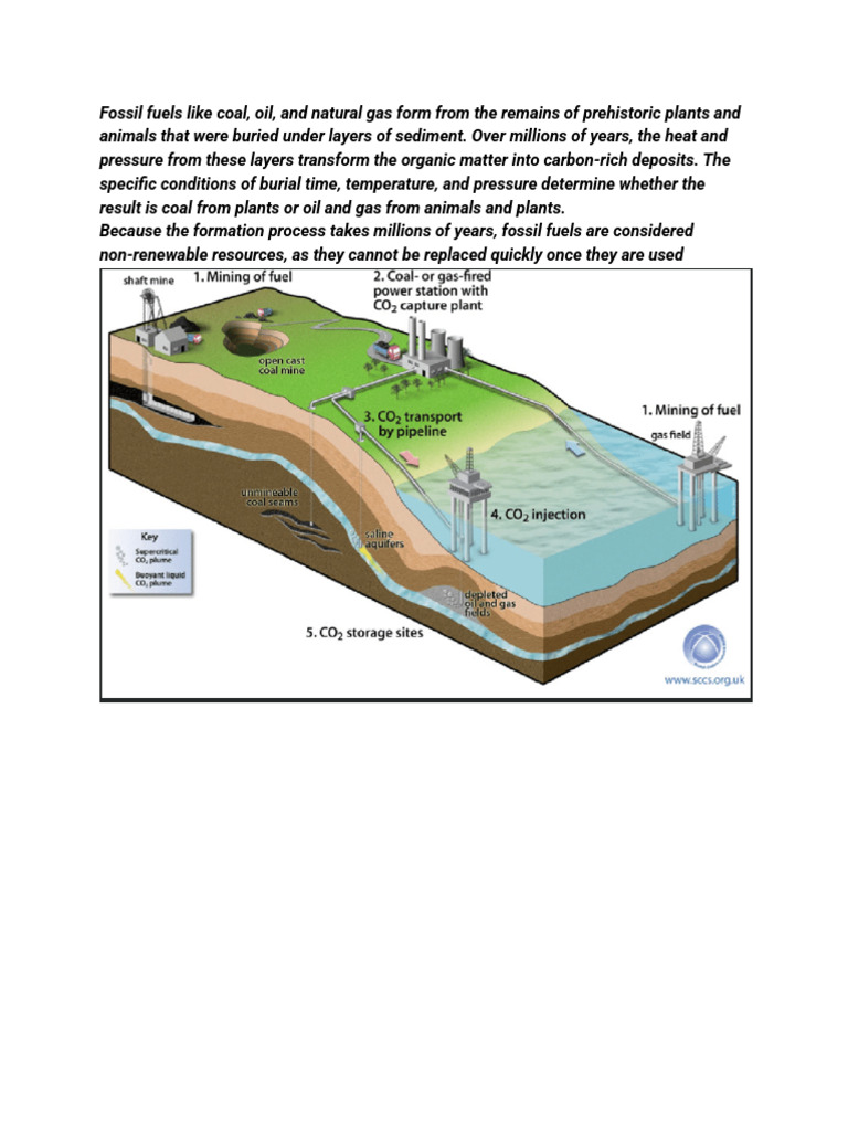 Formation of Non-Renewable Fossil Fuels | PDF