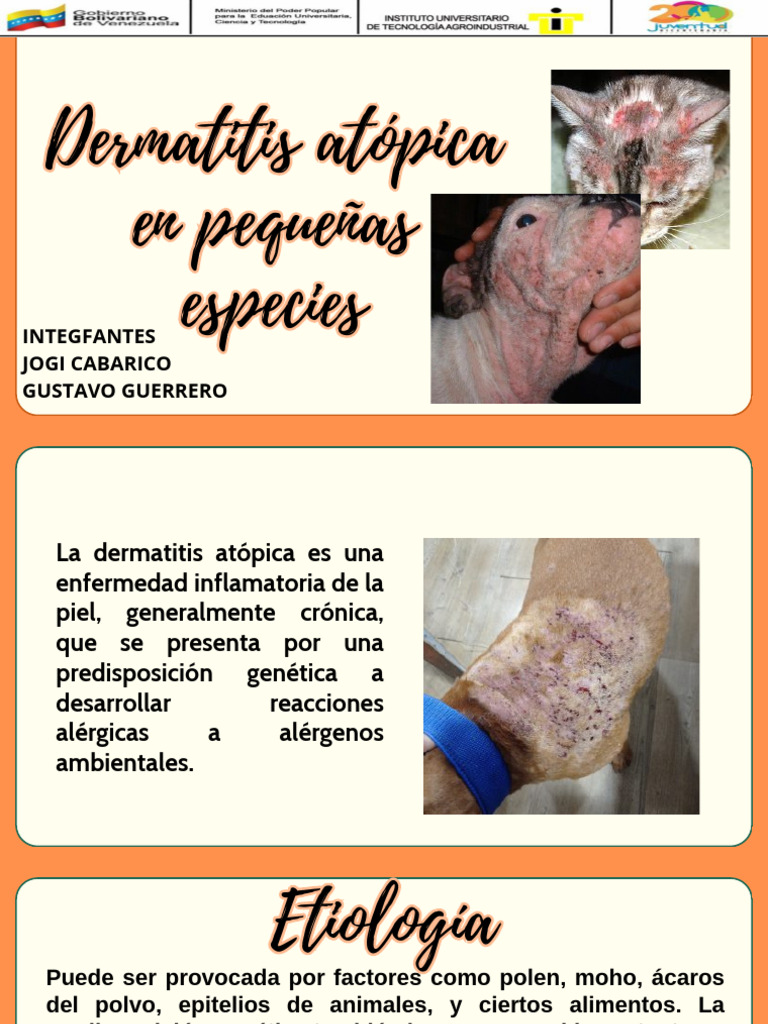 Save Endangered Species Campaign by Slidesgo.pptx_20250723_231803_0000 ...