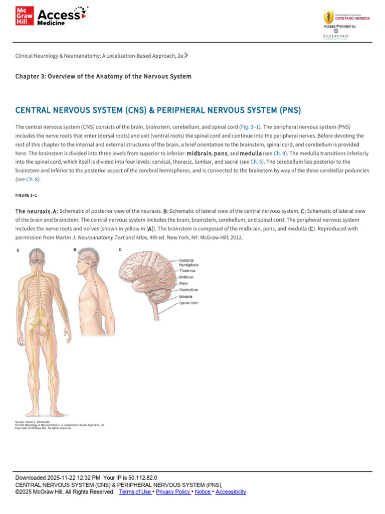 Central Nervous System (Cns) & Peripheral Nervous System (Pns) | PDF