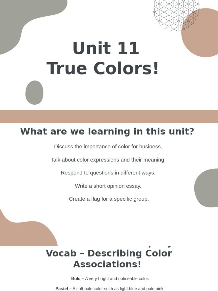 Unit 11 - True Colors | PDF | Grammatical Number | Plural
