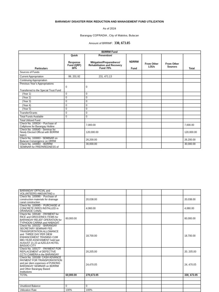Barangay Disaster Fund Utilization 2024 | PDF