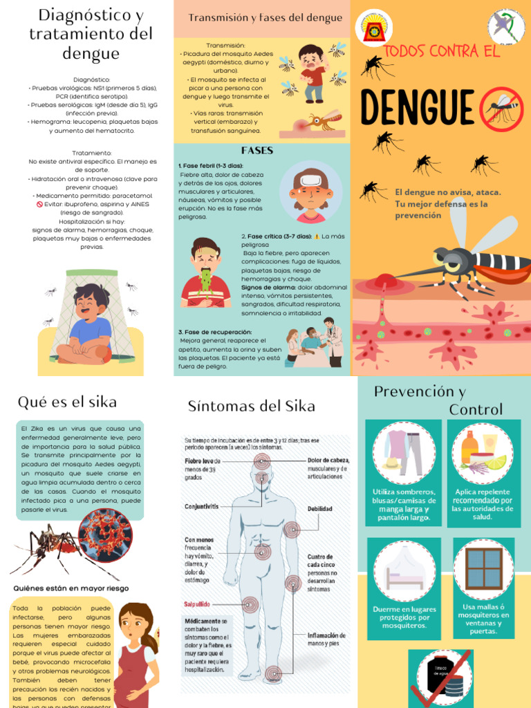 Triptico Prevencion Del Dengue y Sika | PDF | Enfermedades y trastornos ...