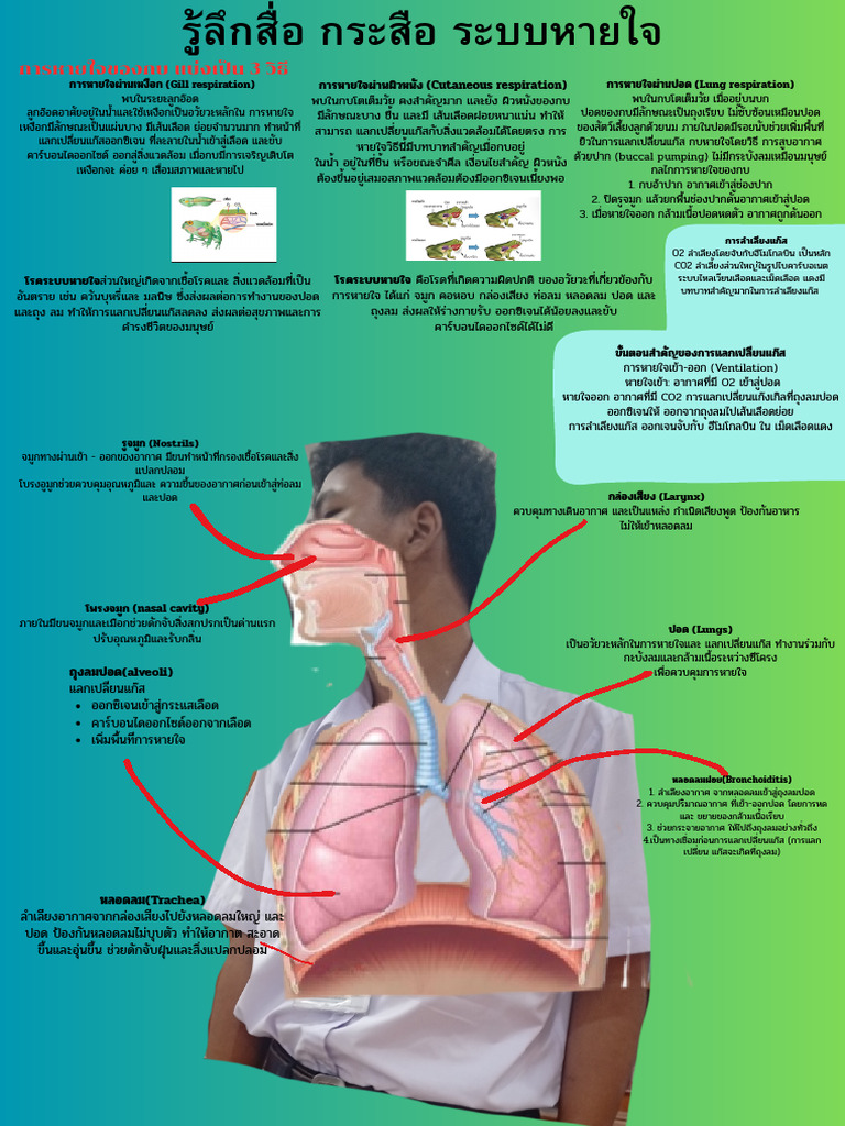 ระบบหายใจ_20251225_132313_0000 | PDF