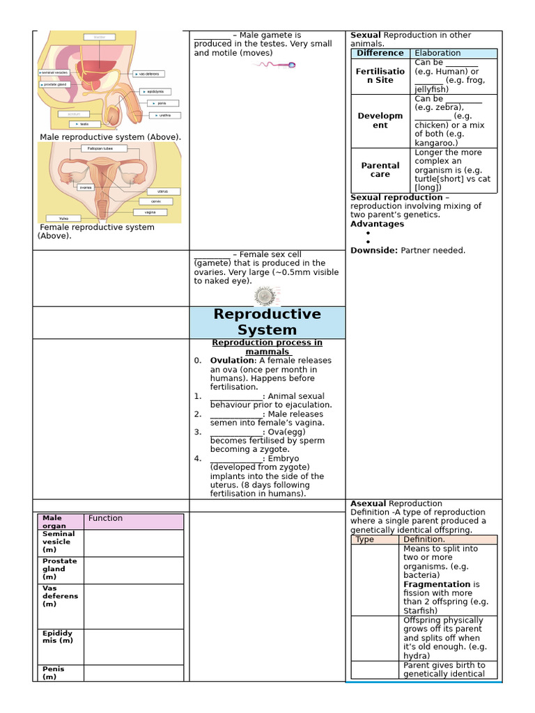 Overview of Reproductive Systems | PDF | Sexual Reproduction | Human ...