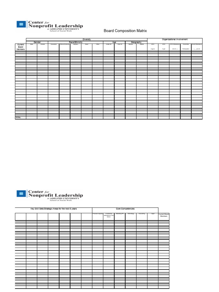 Board Composition and Diversity Matrix | PDF