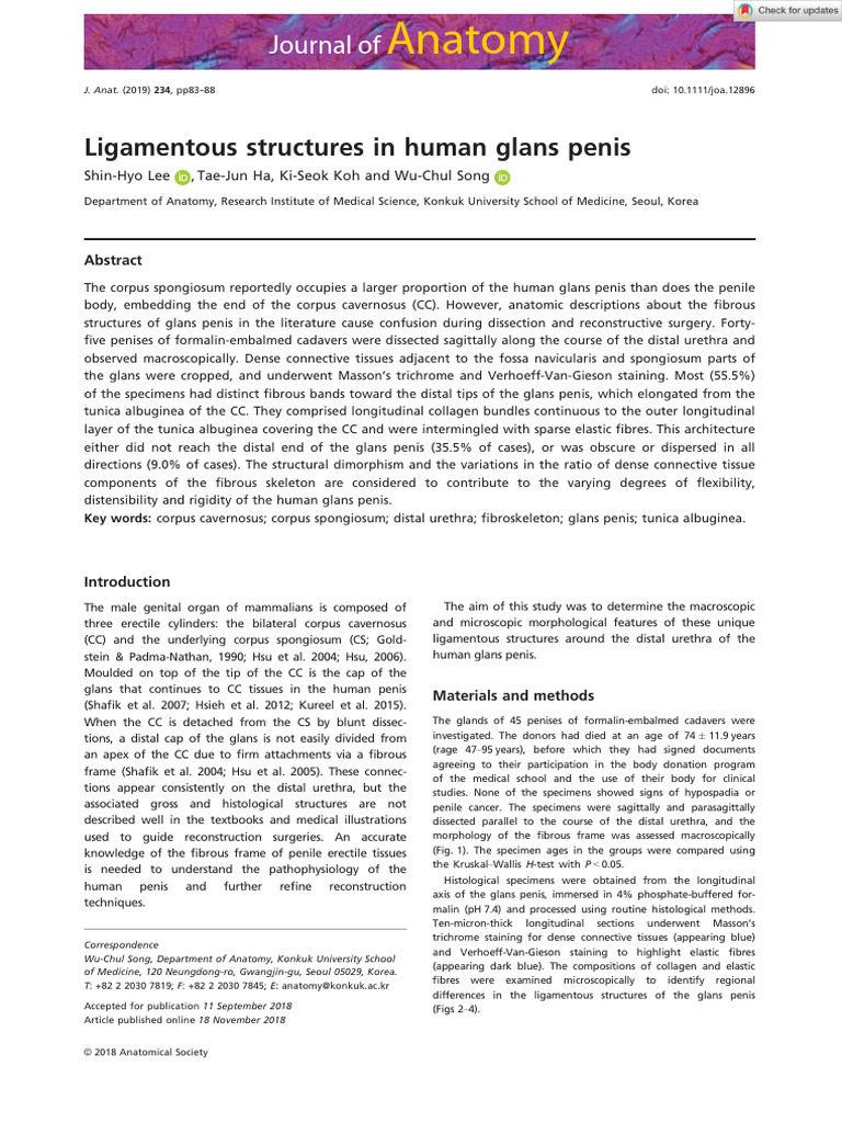 Ligamentous Structures of Human Glans Penis | PDF | Clitoris | Anatomy