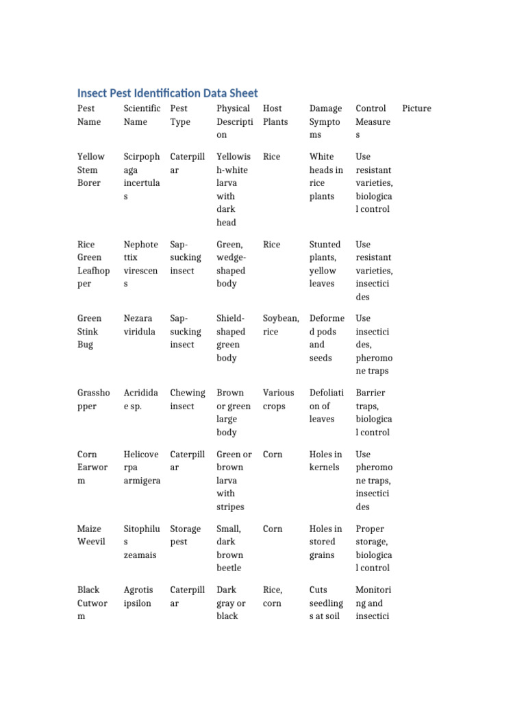 Insect Pest Identification Data Sheet | PDF | Rice | Maize