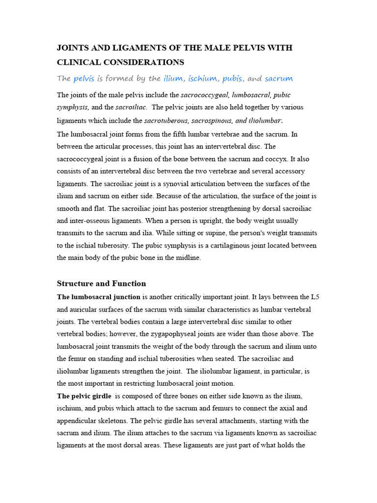 Male Pelvis: Joints, Ligaments, and Care | PDF | Pelvis | Vertebra