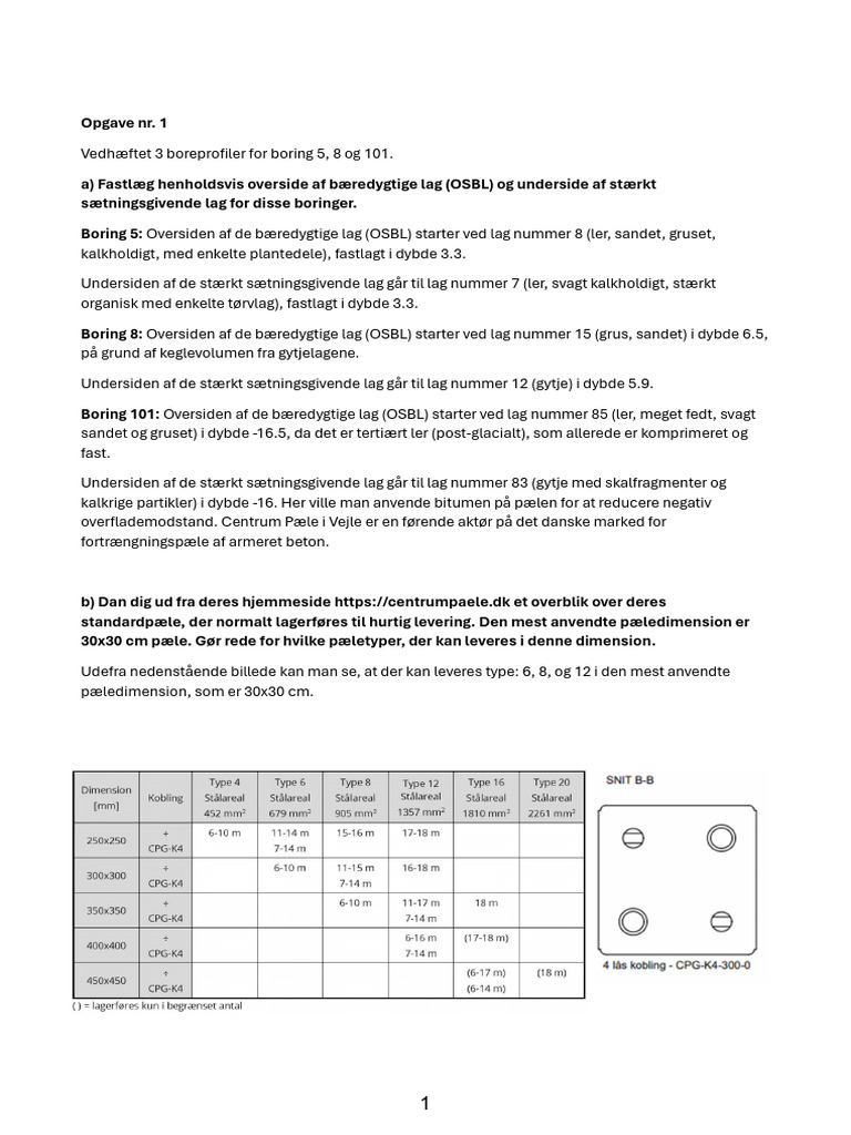 Tema Opgave 1 Endelig | PDF