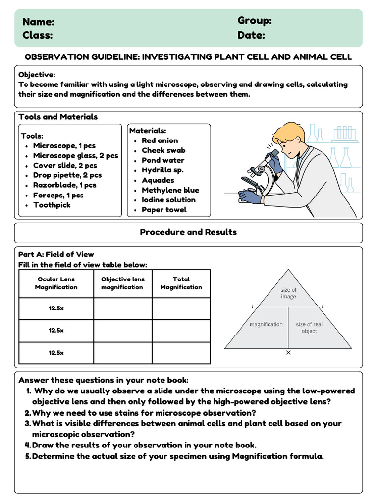 Microscope Lab: Plant & Animal Cell Observation | PDF | Cell (Biology ...
