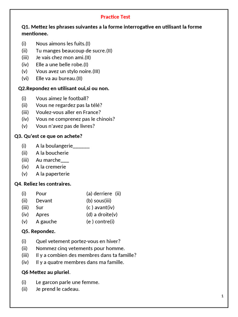 Test de pratique en français : grammaire et vocabulaire | PDF