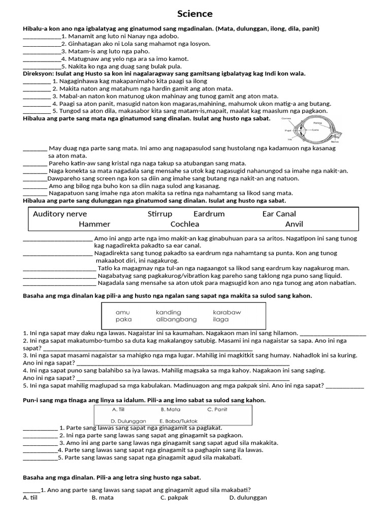 2nd Grading Tutor | PDF