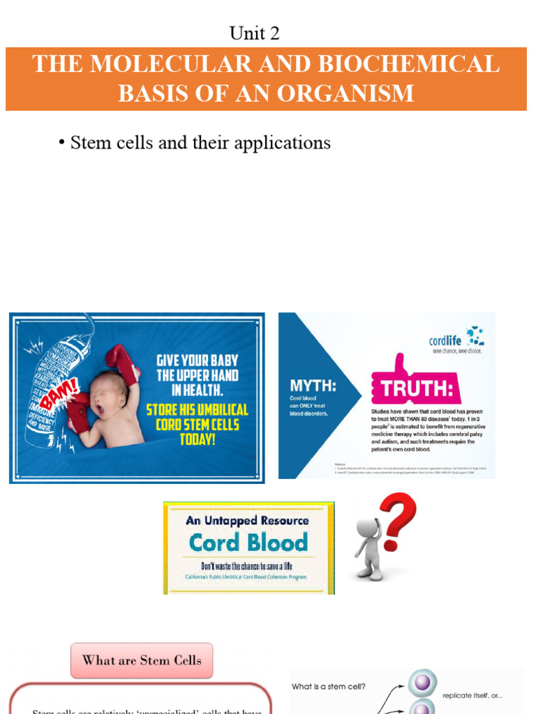 4. Stem Cells and Their Application | PDF