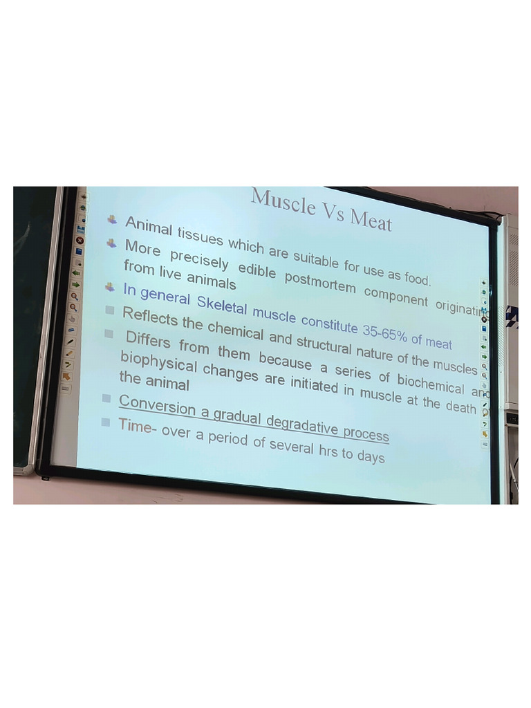 Conversion of Muscles Into Meat LPT | PDF