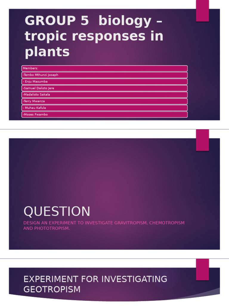 GROUP 5 Biology Assignment | PDF | Branches Of Botany | Plants