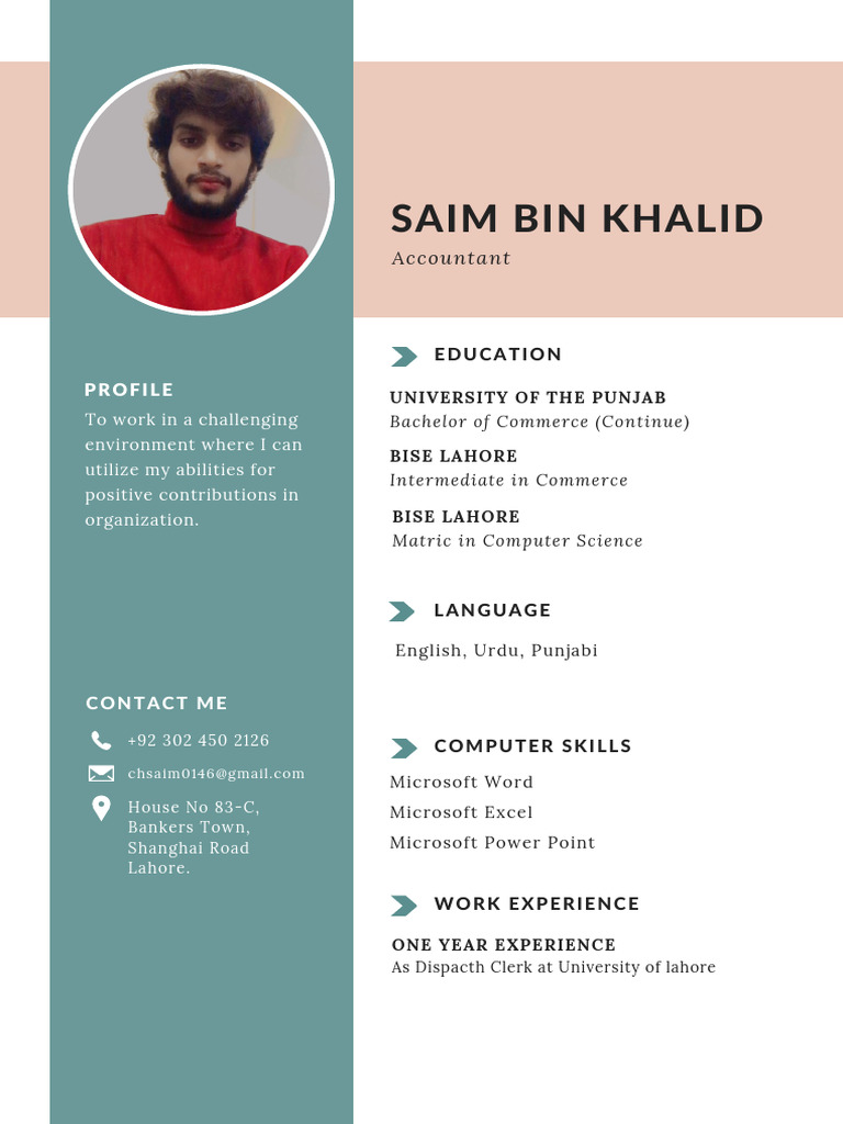 CV of Saim | PDF