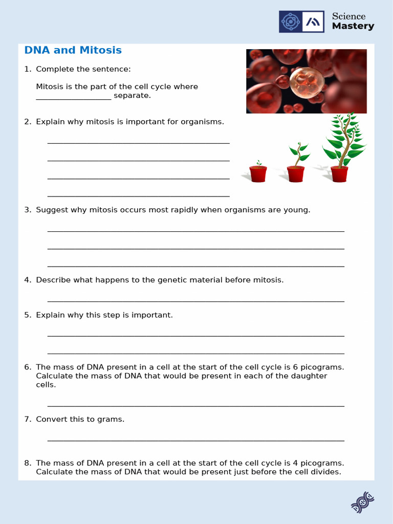 Understanding DNA and Mitosis Basics | PDF