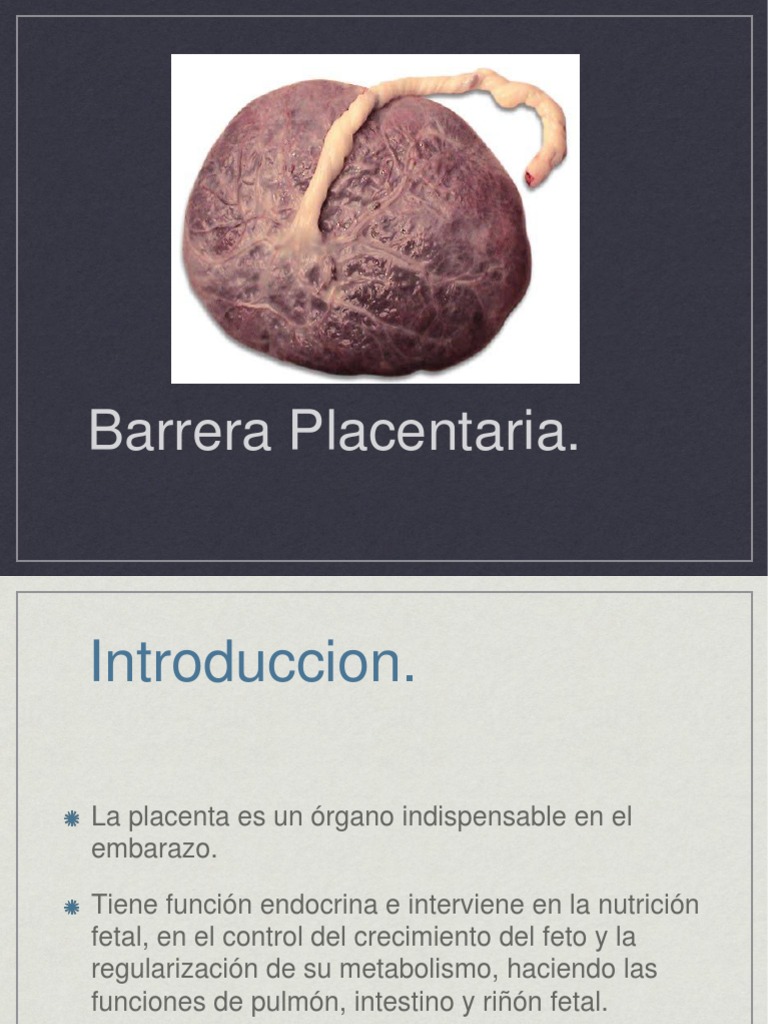 Barrera Placentaria | PDF | Placenta | Implantación (embrión humano)