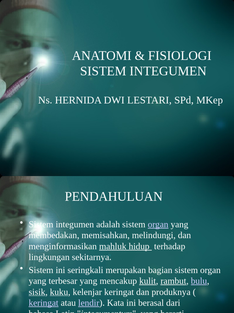 Anatomis dan Fungsi Sistem Integumen | PDF