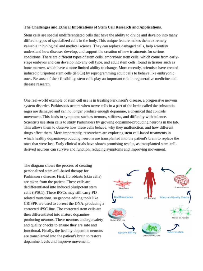 Stem Cell Research and Applications | PDF | Stem Cell | Parkinson's Disease