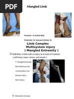 RAF 4 Serious Injury Assessment Form | PDF | Medical Specialties ...