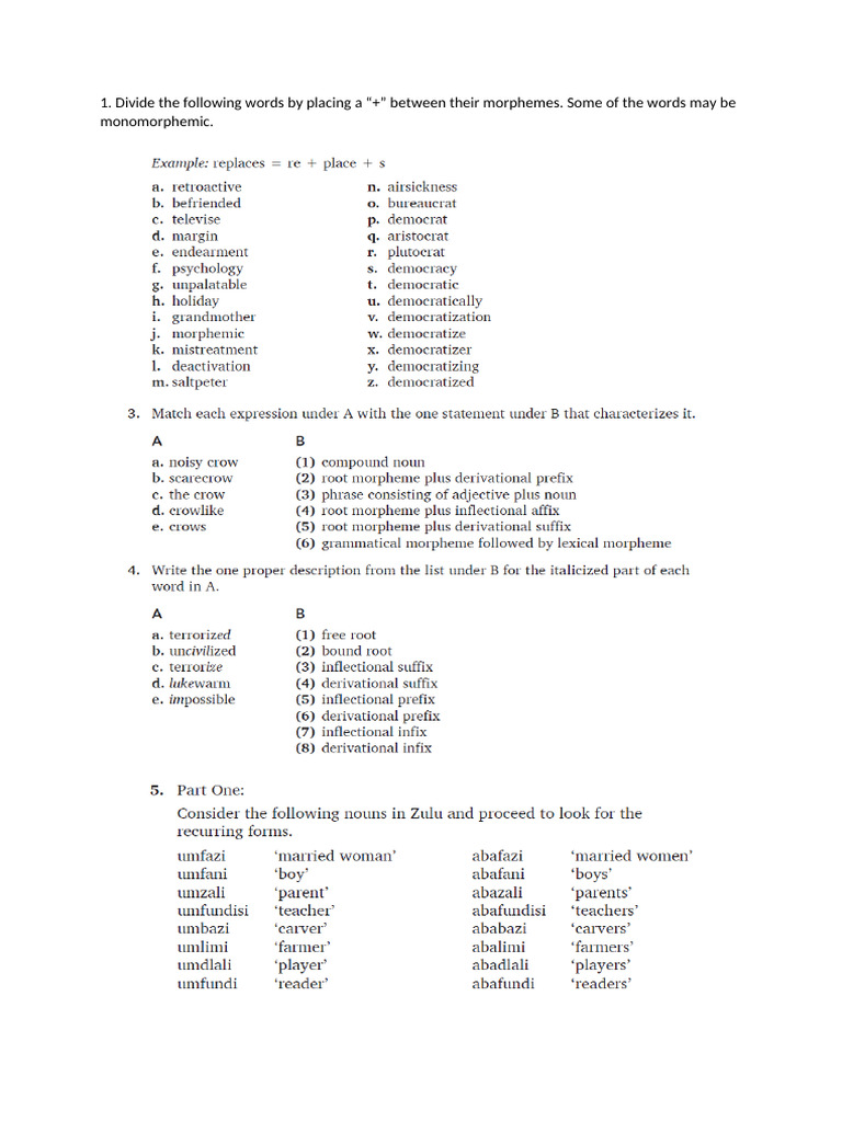 C1 Morphology | PDF