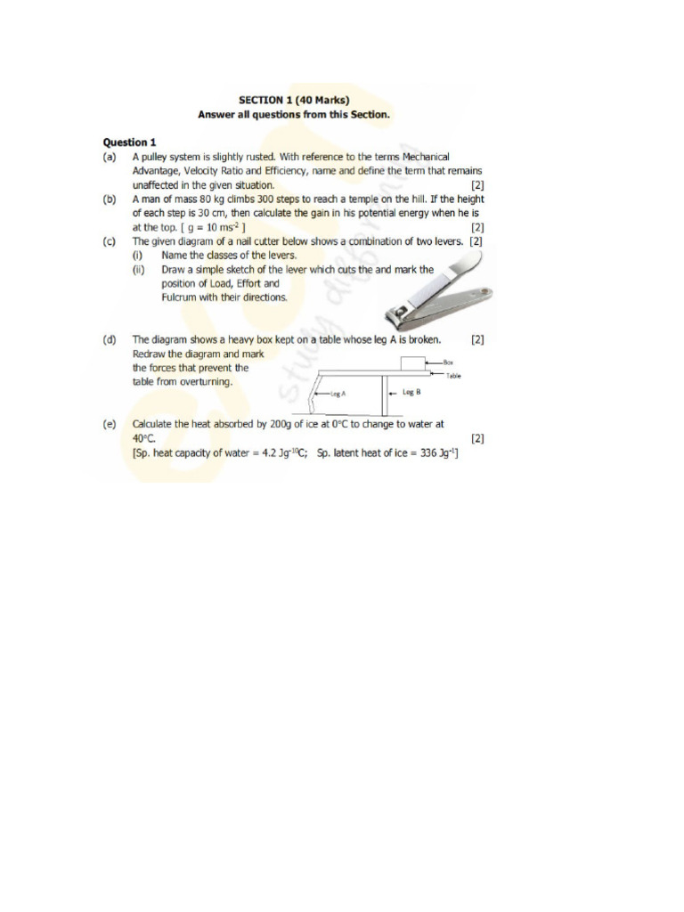 Icse New Paper | PDF
