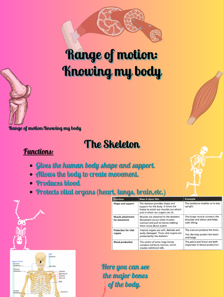 Range of Motion - Content Presentation | PDF | Human Musculoskeletal ...