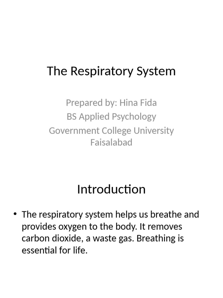 Respiratory System Presentation | PDF