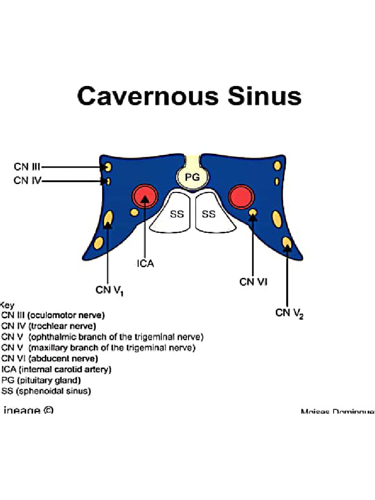 Surgery Osce | PDF