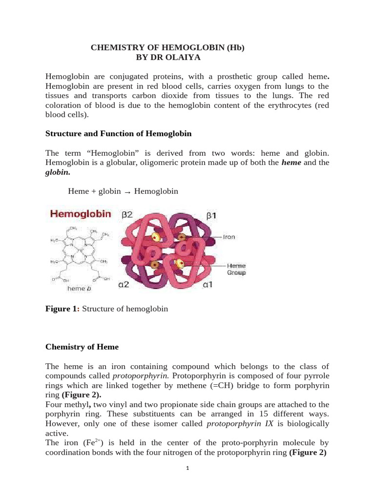 Chemistry and Functions of Hemoglobin | PDF | Hemoglobin | Blood