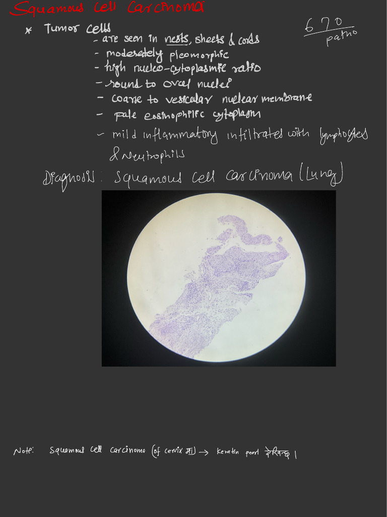 Pathology Slide 1 | PDF