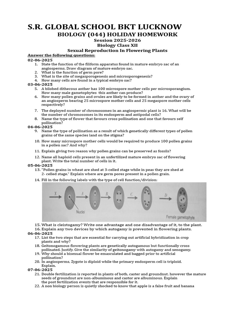 Biology Class XII Holiday Homework | PDF | Menstrual Cycle | Flowers