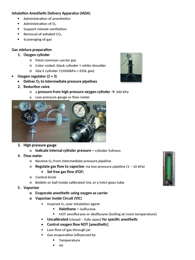 Inhalation Anesthetic Delivery System Guide | PDF | Breathing | Exhalation