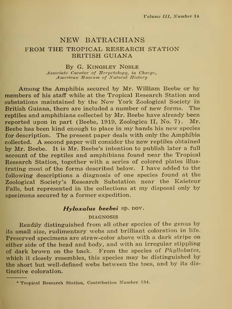 Boana Ornatissima Biostor-175994 | PDF | Anatomical Terms Of Location ...